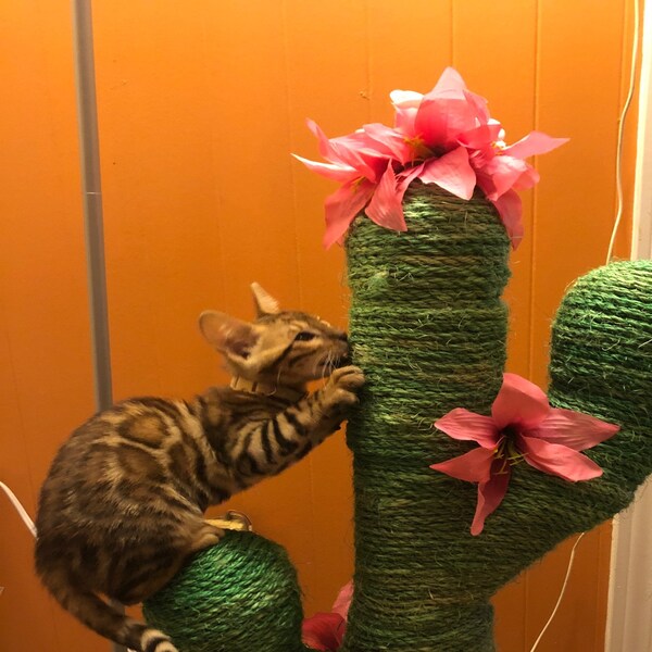 Gravity Falls Inspired Cipher Bill Piñata for Parties Halloween ...