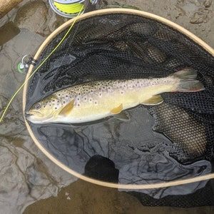 6ct Chartreuse & White Clouser Minnow Flies Mustad - Etsy