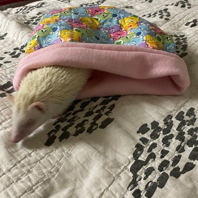 Hedgehog Dig Box Forage Enrichment Activity Cage Clutter - Etsy