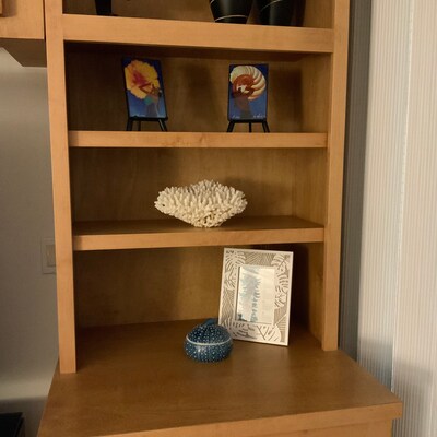 Beach Decor Table Coral Coral Seashells Beach Decor Coastal Home Decor ...