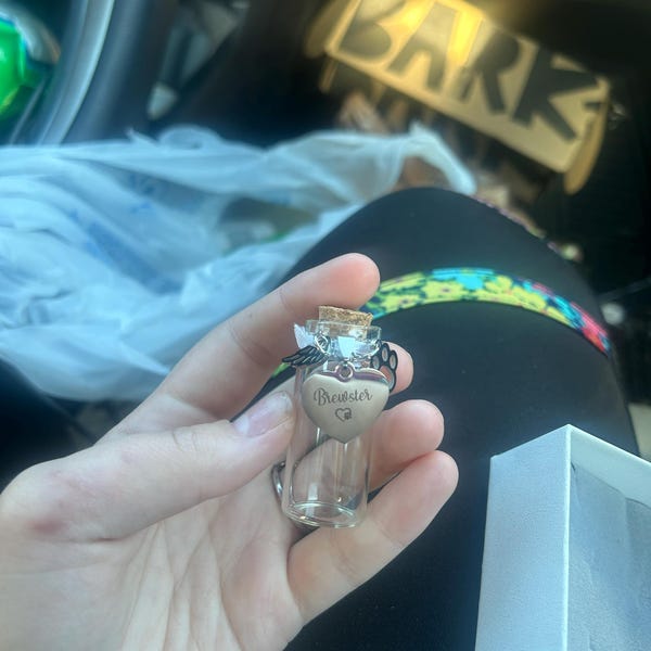 Personalized Pet Drink Stir Stick Custom Acrylic Printing Dog Cat Drink ...