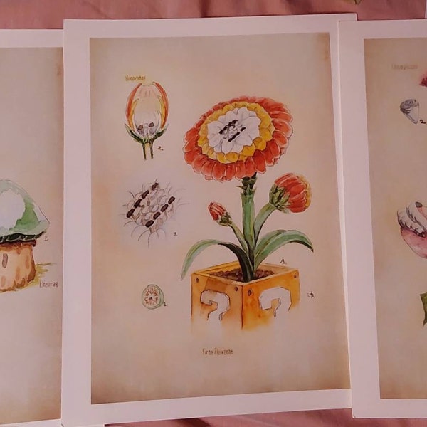 SET of 3 - Super Mario Botanical Illustration 8.5" X 11" Art Prints ...
