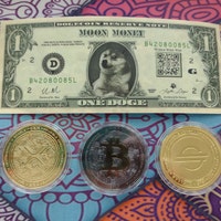 Doge Dollar Vinyl Sticker by Cryptochips set of 10 High Quality ...