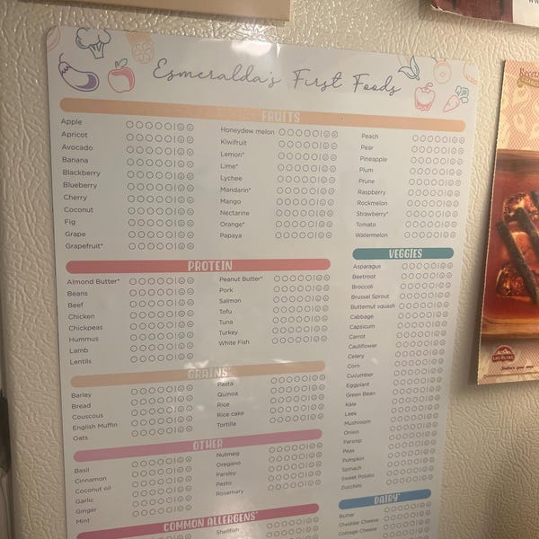 A4 Mini Baby Feeding Log & Food Tracker | Magnetic Solid Foods Chart ...