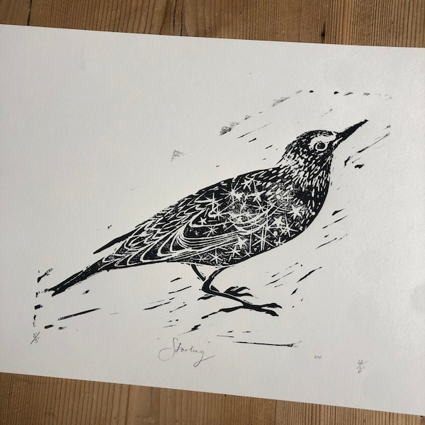 Starling Linocut Print, Bird Linocut Print, Wildlife Art Print, Starry ...