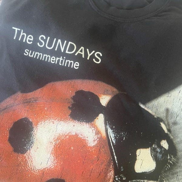 The Cure Crop Top, 90s Alt Rock Tshirt, the Cure Shirt, Band Graphic ...