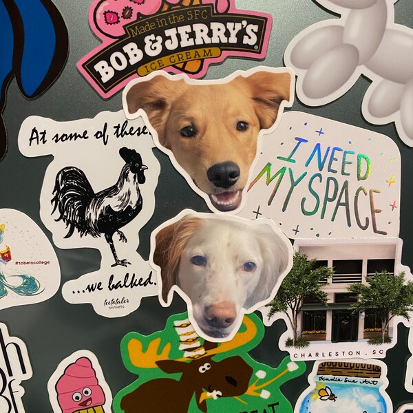 Savannah, Georgia Sticker or Magnet / Travel Sticker / Waterproof Vinyl ...