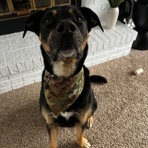 AKC Scent Work NOVICE Title Progression Tracking Sheet Digital Download ...