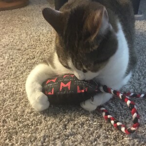 Pico De Gato 1oz Resealable Package of Super Potent Catnip - Etsy