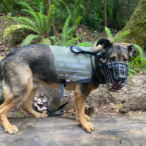 Dog Leash Wrap, Dog Leash Sleeve, Dog Leash, Dog Gear, Custom ...