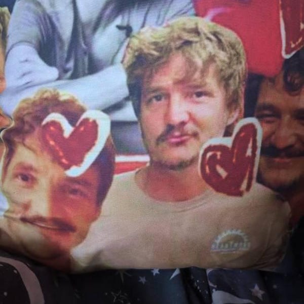 Lee Know Seo Changbin Seungmin Pillow Case Stray Kids Kpop Pillow Case ...