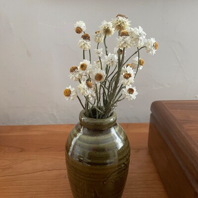 Blue Statice Mix Light Blue Statice Naturally Dried Flowers Everlasting ...