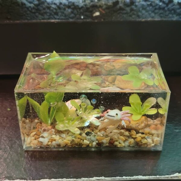 Miniature Clay Axolotl Smiling in the Tank - Etsy