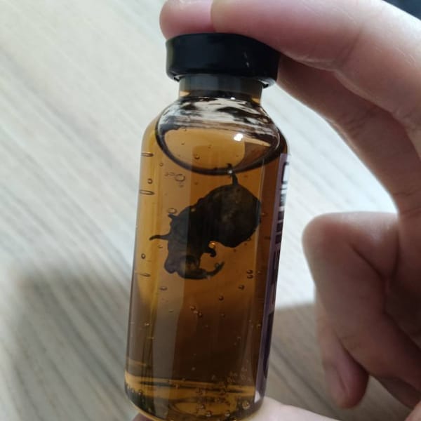 Muestra De Vial De Teenage Mutant Ninja Turtles / TGRI Mutagen (ooze ...