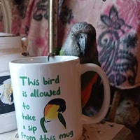 Wanderer Above the Sea of Fog With a Sun Conure Poster, Birb Merch ...