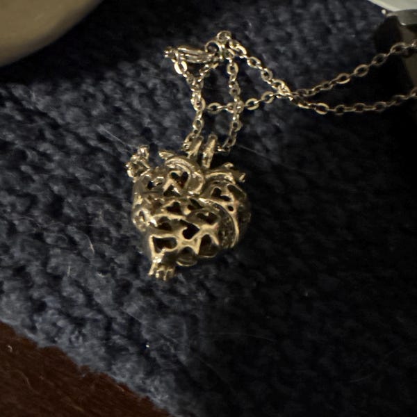 1 Anatomical Heart Locket Bloodvial Necklace Kit With 20" Stainless ...