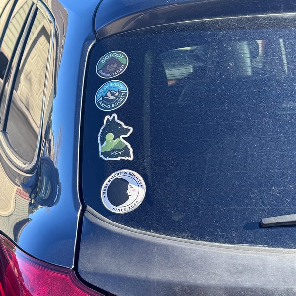 Cowgirl Sticker Pack, Cowgirl Stickers, Yallternative Sticker, Western ...