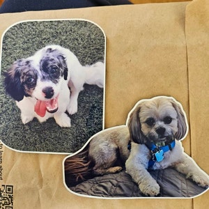 Custom Pet Magnets Cute Animal Magnets Decorative Magnets Dog Cat Lover ...