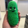 PATTERN ONLY, Easy Pickle Crochet Pattern, Instant DOWNLOAD - Etsy