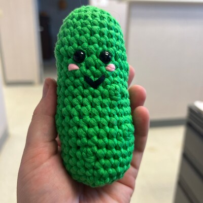 PATTERN ONLY, Easy Pickle Crochet Pattern, Instant DOWNLOAD - Etsy