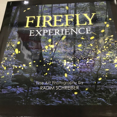 Reflections Photo of Fireflies, Lightning Bugs, Synchronous Fireflies ...