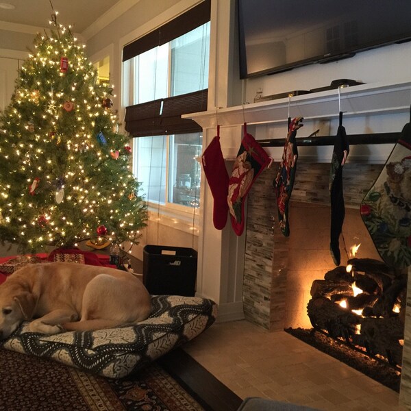 Yellow Lab Dog Stocking | Personalized Needlepoint Christmas Stockings ...