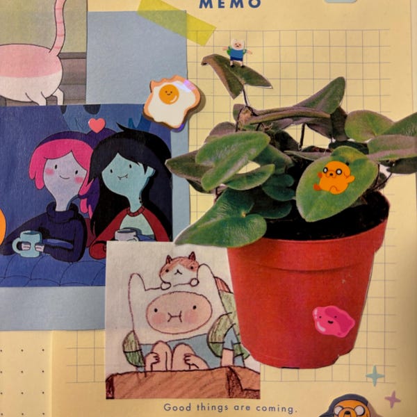 Tiger Reusable Sticker Book / A5 6x8 Reusable Sticker Collection Book ...