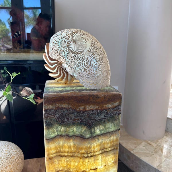Hand Carved Mother of Pearl Phoenix Sculpture: Natural Seashell Beach ...