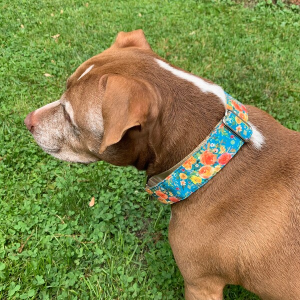 Fall Floral Dog Collar, Fall Dog Collar, Autumn Dog Collar, Fall Dog ...
