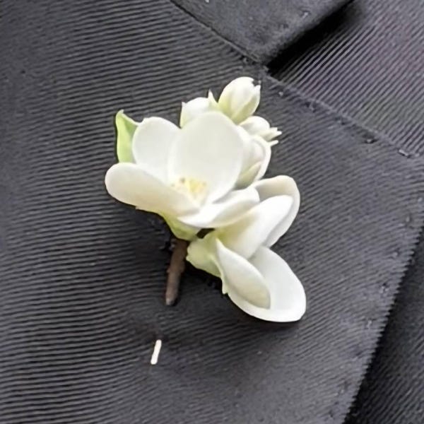 Blossom Lapel Pin Delicate Brooch Jasmine Lapel Pin Ivory Flower Lapel ...