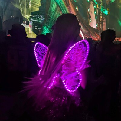 LED Fairy Wings Rave Party Light up Accessories Butterfly Fairy Wings ...