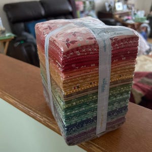 A Day in Happyland Quilt Pattern: Wool Applique Stitchery (55" X 56 ...