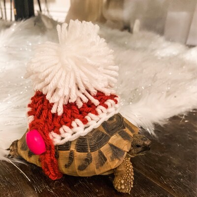 Christmas and Holiday Tortoise Sweaters, Turtle Costume, Tortoise Hat ...