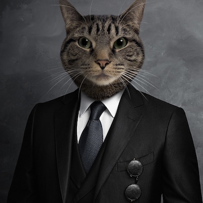 Custom Pet Portrait in Suit . Custom Animal Portrait in Suit . Custom ...