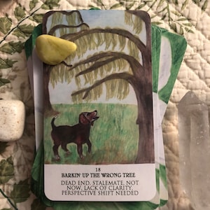 The Southern Oracle deck - Etsy