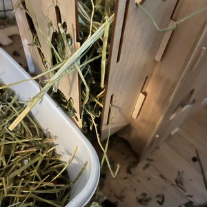 Wooden Rabbit Tunnel - Etsy