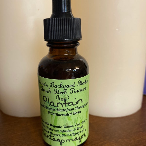 Plantain Herbal Tincture (plantago Major) Health & Wellness for ...