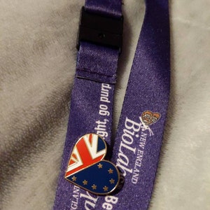 Europe / UK Love Heart Enamel Pin Badge Remain Brexit EU - Etsy