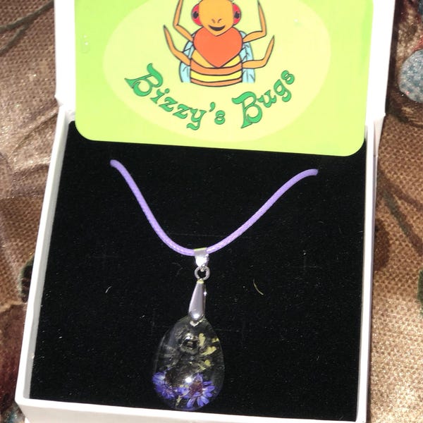 Deluxe Isopod Starter Kit Isopod Terrarium Kit for Isopods With Isopod ...