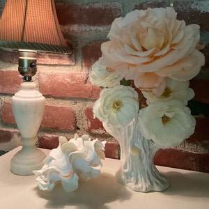 Cebu Beauty Shells 25 Coastal Home Decor Seashells | Etsy