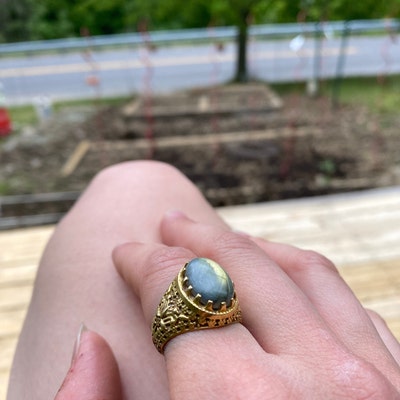 Gold Scarab Ring Beetle Insect Ring Flying Bug Ring Sacred - Etsy