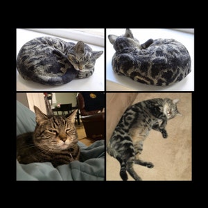 Striped Cat Urn pet Memorial Keepsake cremation Urn for - Etsy