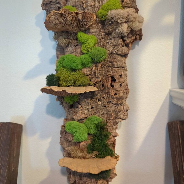 Floating Forest Art Gift, Moss on Cork Bark Natural Wall Decor ...