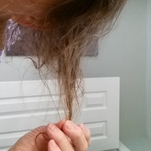 Jester Critical Role Signature Oil Blend or Essential Oil | Etsy