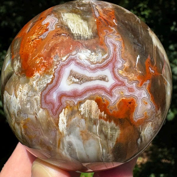 Incredible Very Large Oregon Plume Agate Double Thunderegg Half, Cut ...