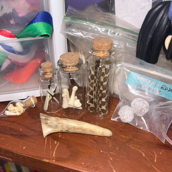 Mini Travel Bone Throwing Set Yes or No / Crystals / Animal Bones / Osteomancy / Bone Reading ...