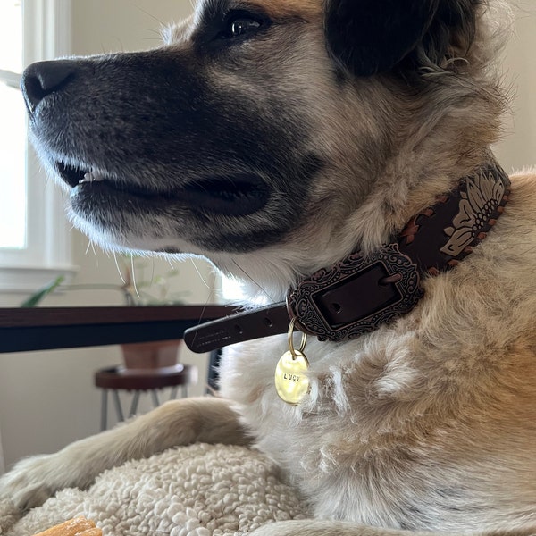 Custom Award Halters Bronc Noseband Personalize With Horse / Farm Name ...