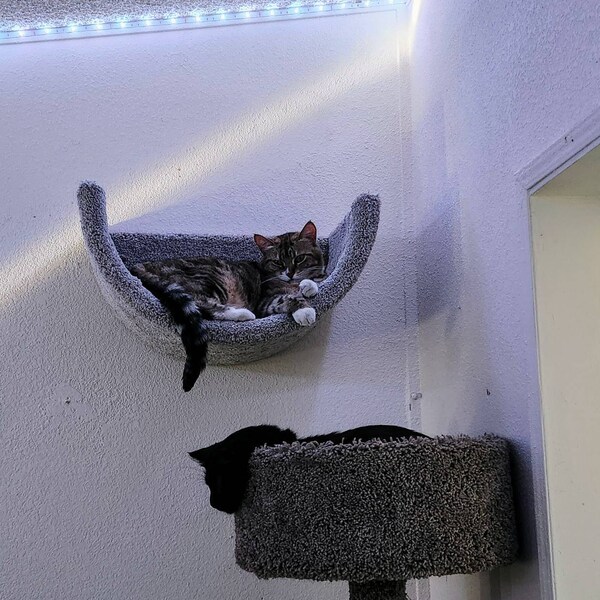 A-frame Cat Scratch Post/scratching Post/cat Scratcher/kitten/scratcher ...