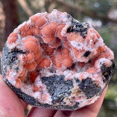 Amethyst Geodes Inside Calcite Crystal Natural Specimen - Etsy