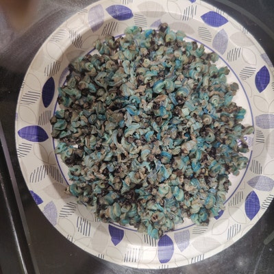 Uda Pods ,grains of Selim, African Spices, Xylopia Aethiopica , Uda ...